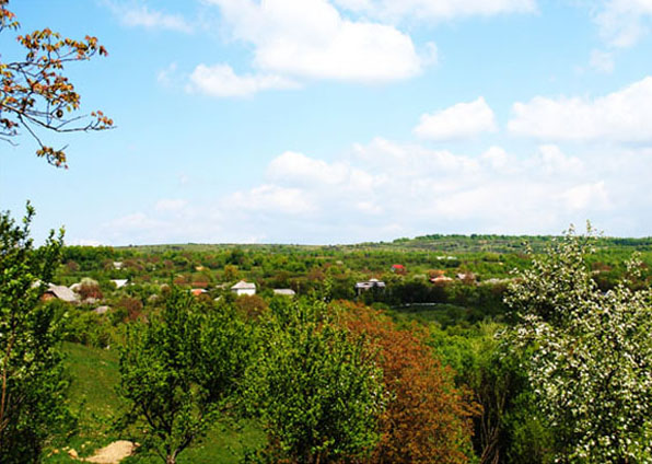 PRIMARIA BOIU MARE - Maramures - Localitati, obiective turistice ...