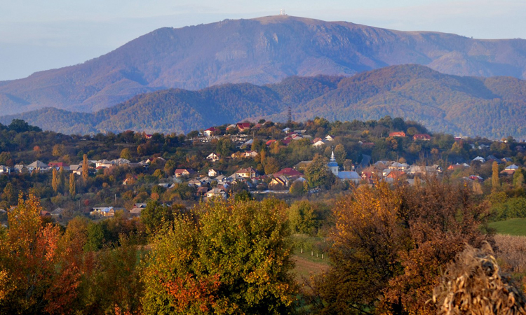 PRIMARIA GROSI - Maramures - Localitati, obiective turistice, puncte de ...